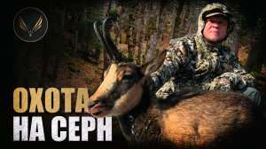 ТРОФЕЙНАЯ ОХОТА ВО ФРАНЦИИ | ЧАСТЬ 1 | ОХОТА НА СЕРН И МУФЛОНА | ОХОТА С ДЕНИСОМ МОРОЗОВЫМ