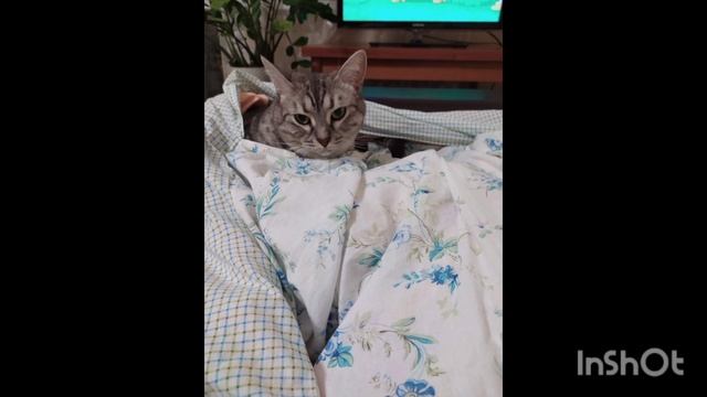 Мои друзья