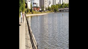 Большой Чертановский пруд в 2024 году