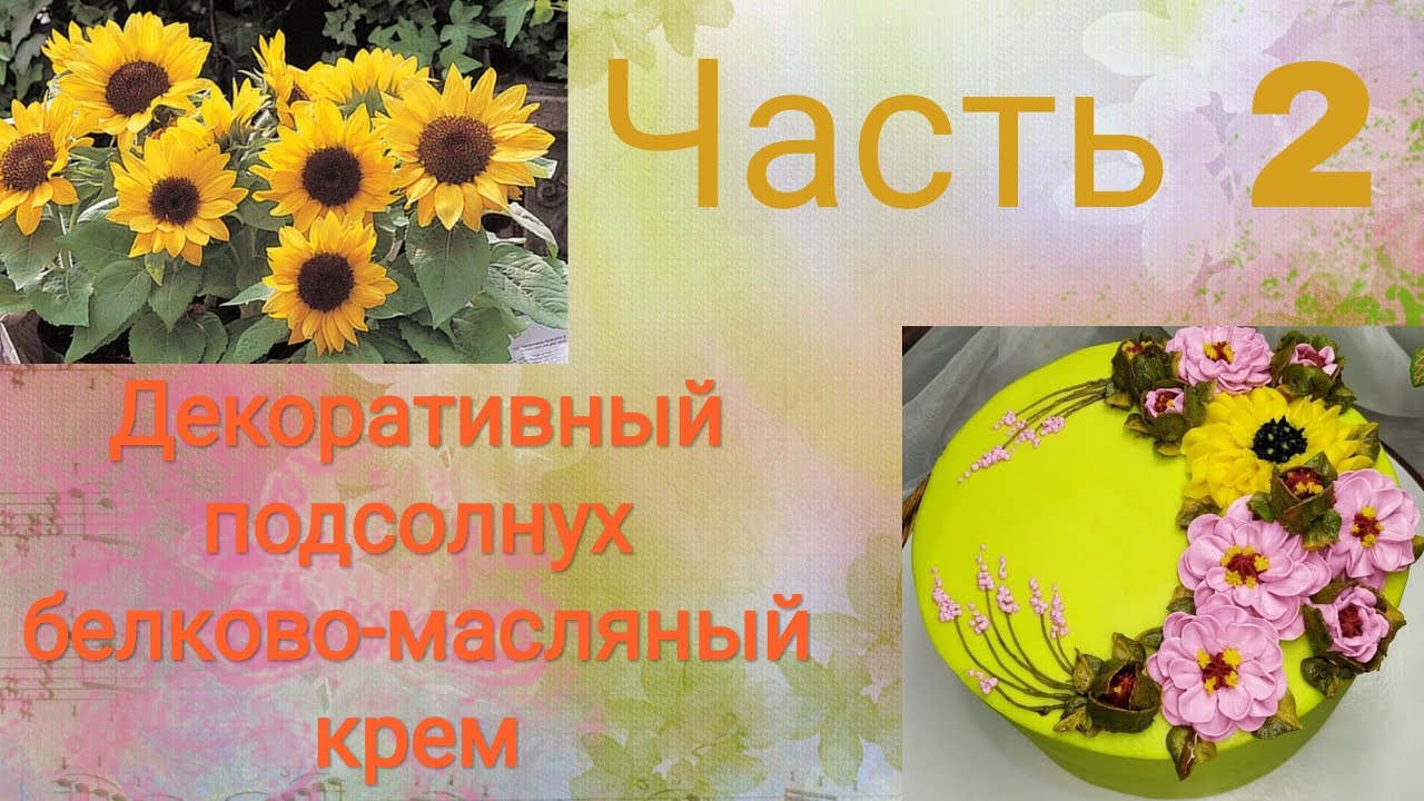 Декоративный подсолнух из белково-масляного крема. Оформление торта.