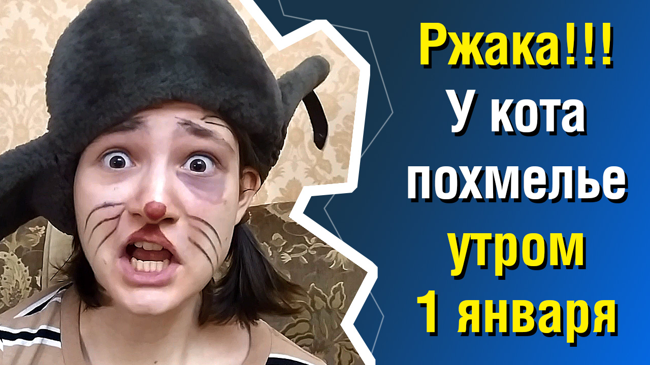 Ржака!!! У кота похмелье утром 1 января!