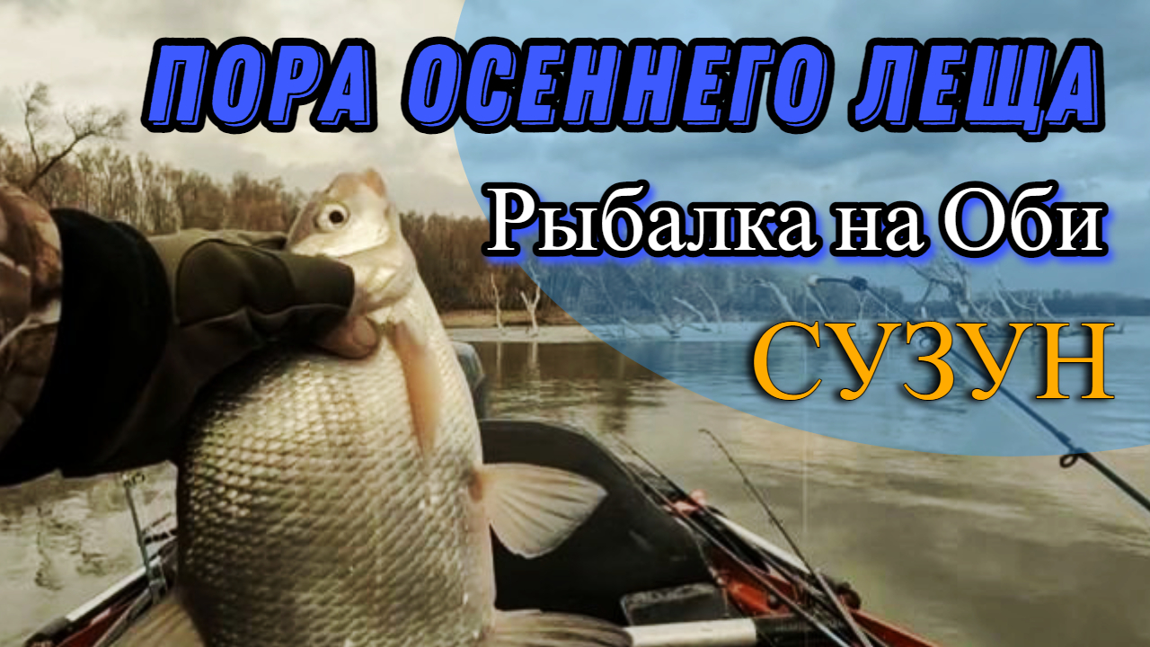 Осенняя рыбалка на Оби (Сузун) 17 октября 2022 г. Пришла пора осеннего Леща. Фидер с лодки.