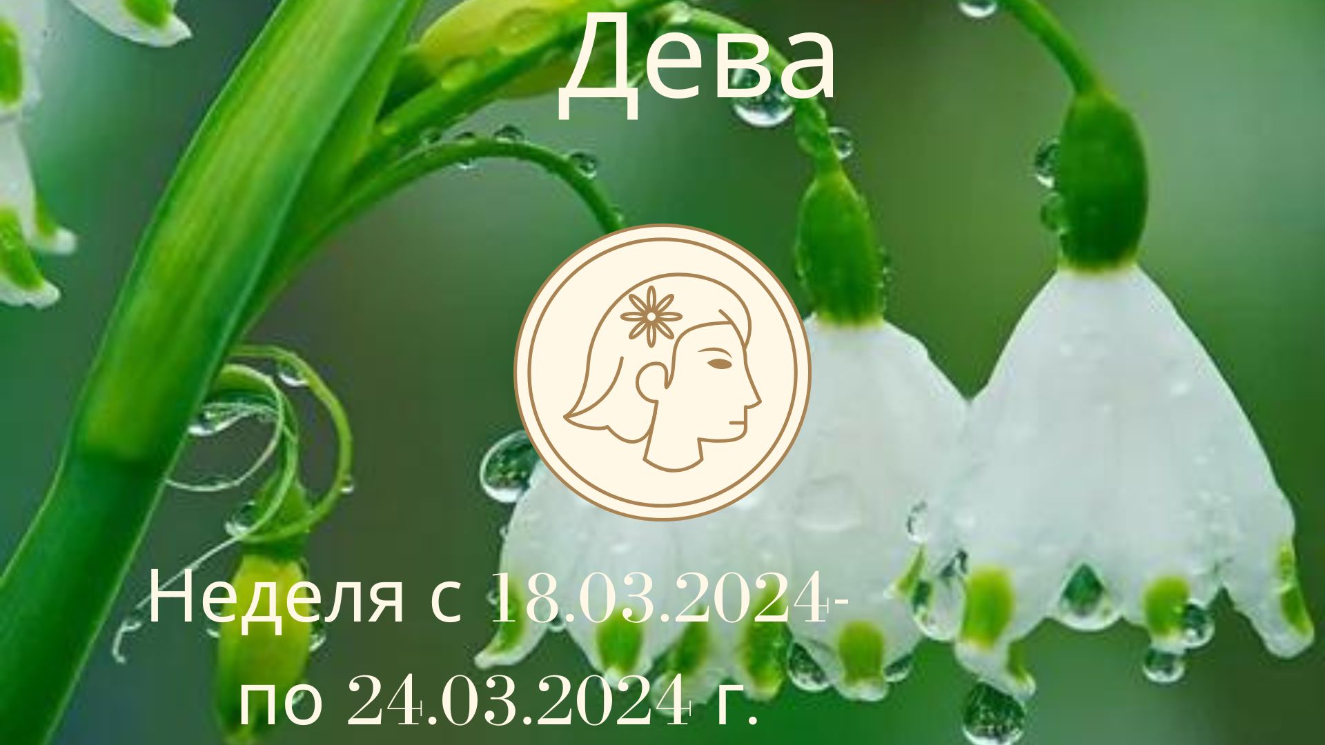 Дева. Гороскоп на неделю с 18 марта по 24 марта 2024 года.