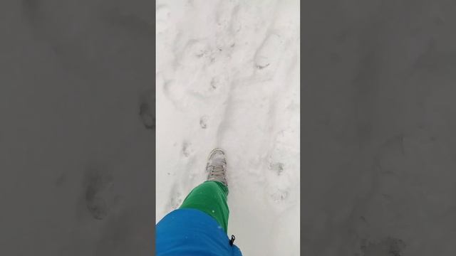 Северск! Щедрый подарок от природы на 8 марта ?