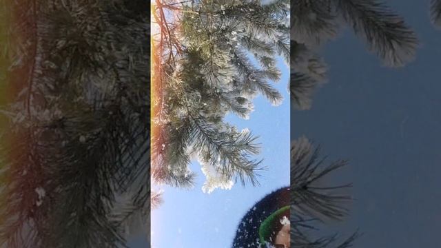 нейросети или Человек