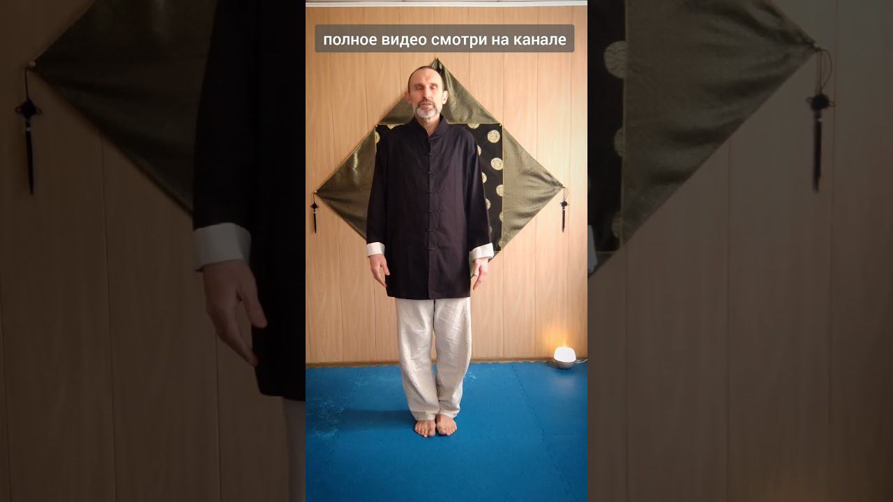 ТАЙЦЗИ ЧЕНЬ ШИ ЛАО ЦЗЯ Начало /TAI CHI CHEN SHI LAO JIA Start ( Виктор Лактионов)