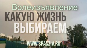 Волеизъявление. Жизнь, которую выбираем.