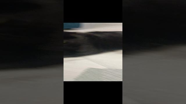 Эксклюзивное видео😼🃏 : Подождать по-кошачьи пока снимет | Симка и Алиса Rutube