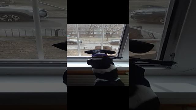 Два этажа любви.mp4
