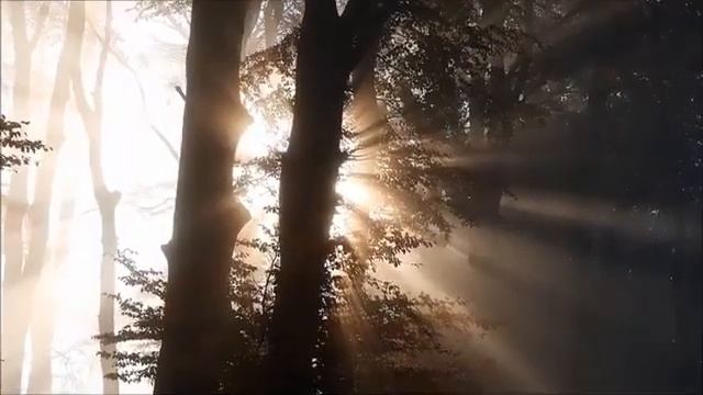 Осеннего солнца небыль. Стихи Ирина Фетисова (Мullerson)