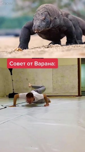 #спортивныйгерой #animalflow