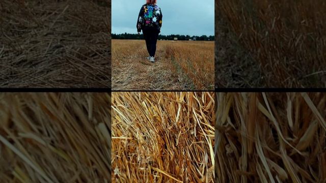 Жить как чувствуешь 🌍
