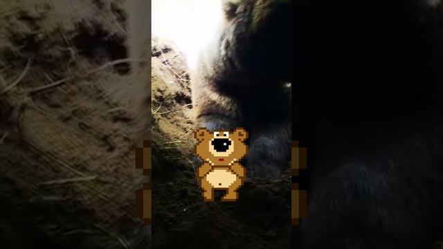 Мишкин стендап.Часть 11
