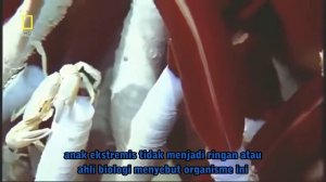 National Geographic  Alien Mysteries sub indonesia