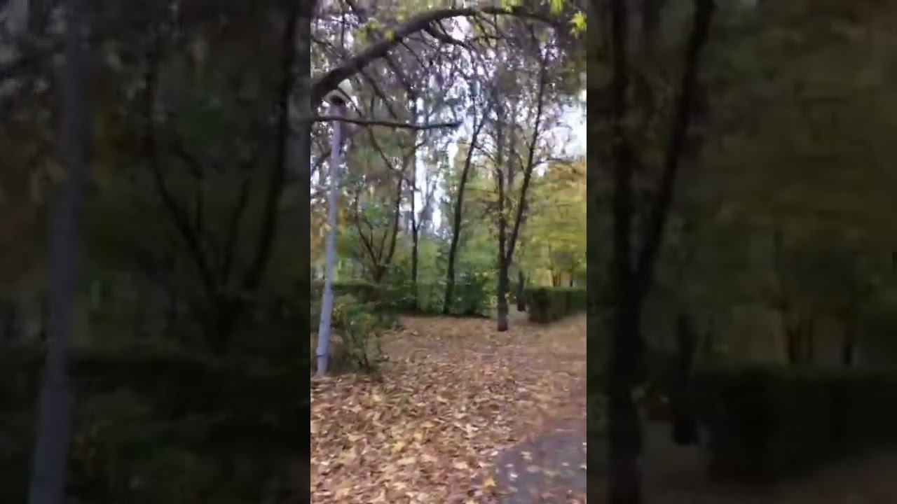 Закружилась листва золотая …