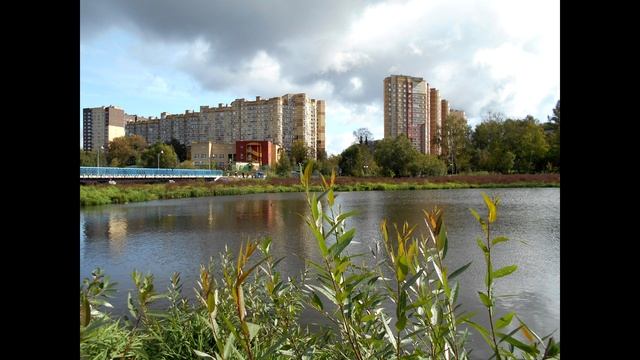 Времена года на Яузе в Мытищах