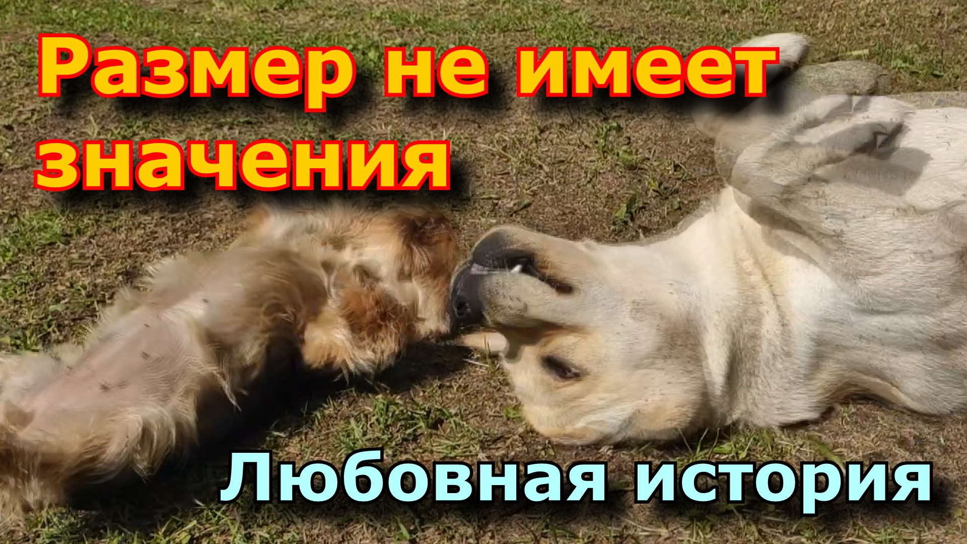Когда размер не имеет значения. История любви