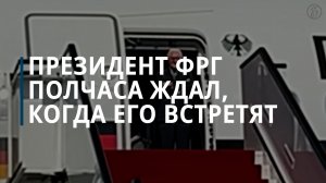 Президент Германии прождал полчаса в аэропорту до встречи с делегацией Катара — Коммерсантъ