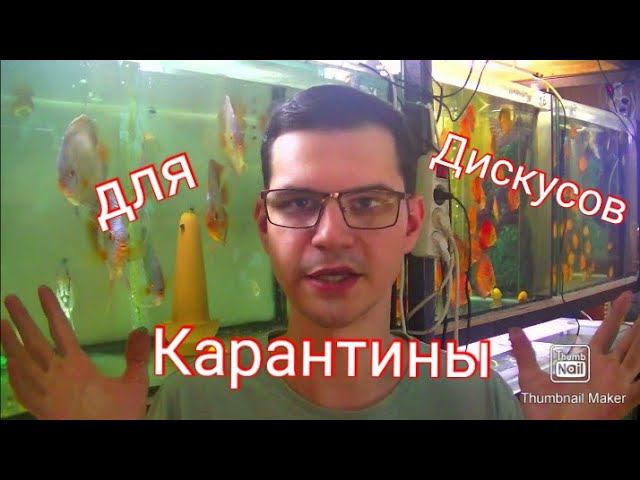 Повторение - мать учения. Карантин рыбы для покупателя