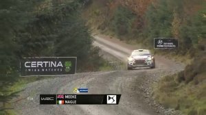 WRC - Rallye du Pays de Galles 2015 - ES4-ES6