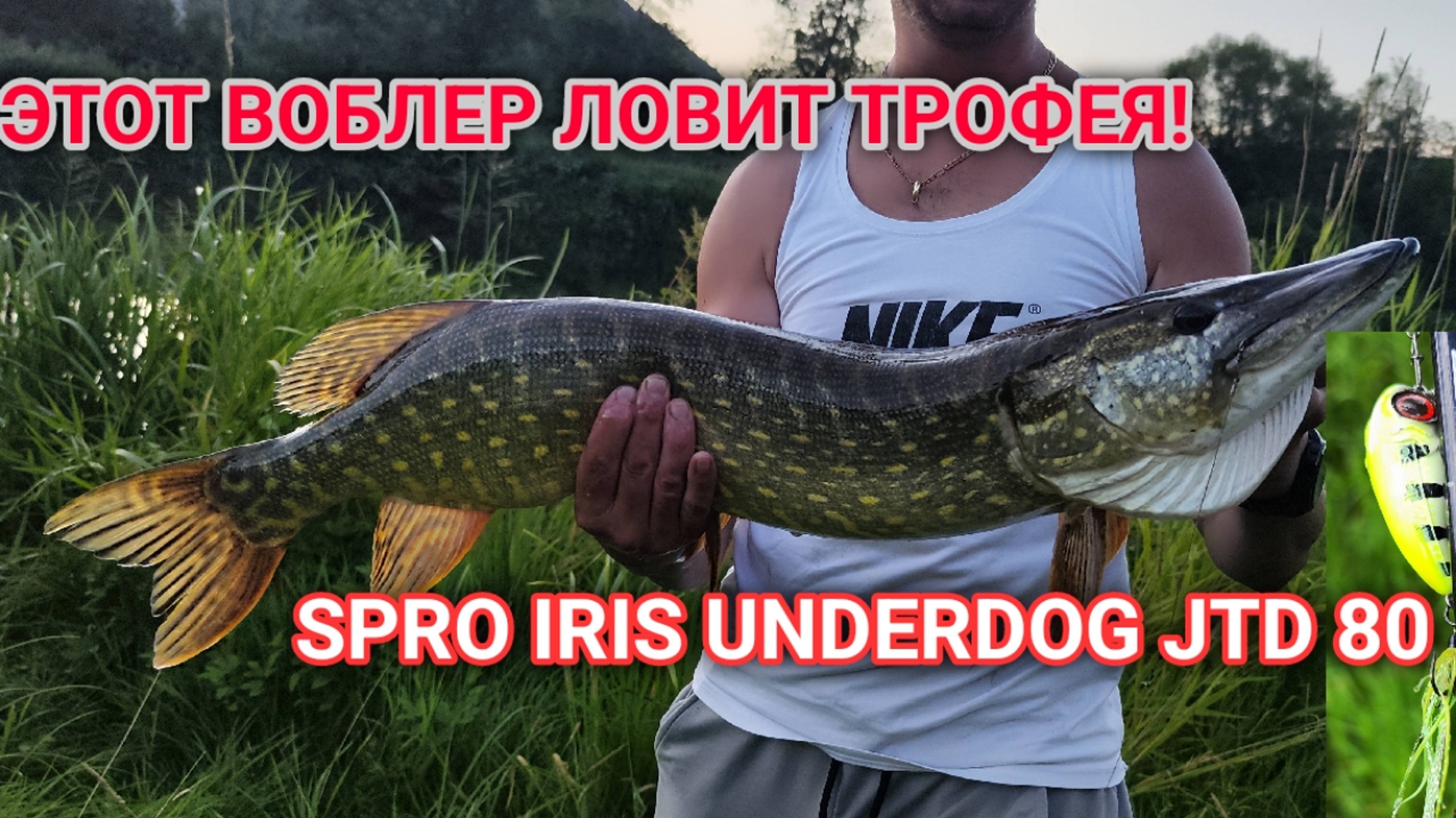 Ловля щуки на любимый воблер летом от SPRO IRIS UNDERDOG JTD 80!