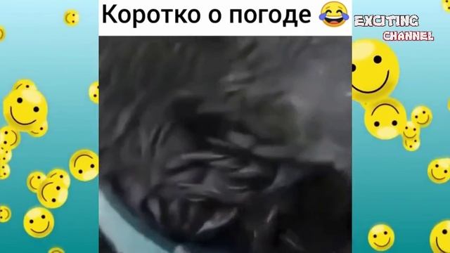 С Добрым утром! Коротко о погоде .