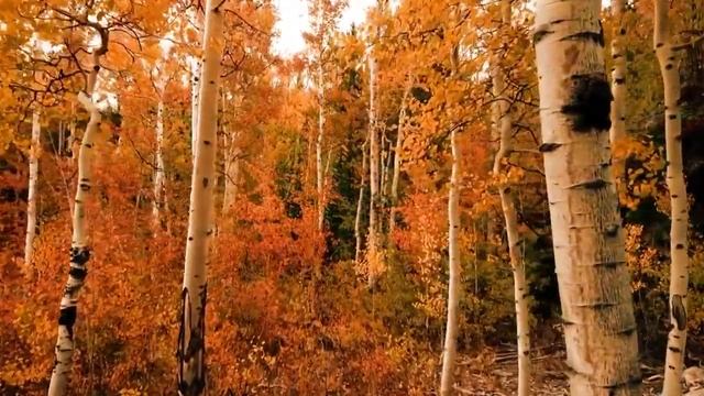 Штайн Игорь - Необитаемый остров
