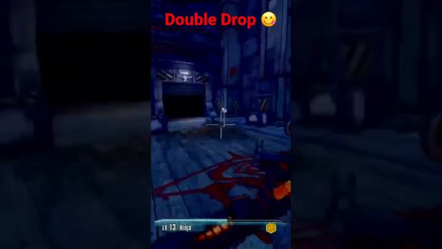 Borderlands 2 Double drop from assassin wot. Commerce and rare skin