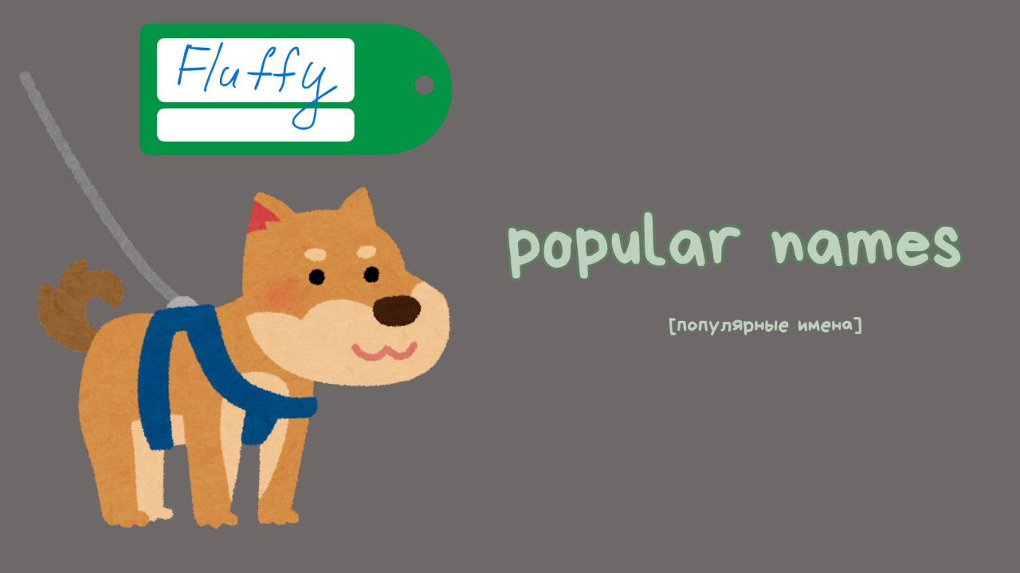 видеоурок на тему Crazy about animals! стр 16
медиафайлы взяты из онлайн-сервиса Canva