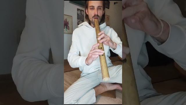 ученик репетирует на Флейте