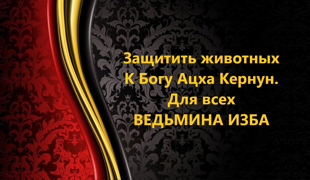 ЗАЩИТИТЬ ЖИВОТНЫХ. К БОГУ АЦХА КЕРНУН..ДЛЯ ВСЕХ..АВТОР: ИНГА ХОСРОЕВА