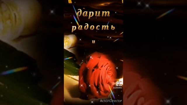 Сладких снов.