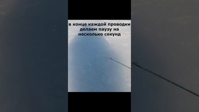 Основные рабочие анимации при ловле на "чертик"