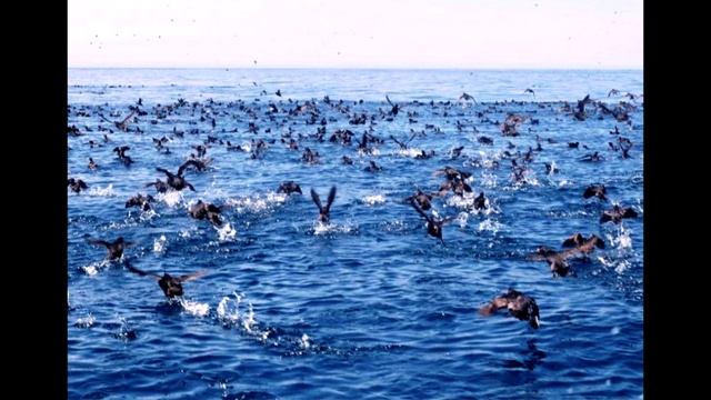 Библия. 30-15. Книга премудростей Соломона (15). Но Ты, Бог наш, благ и истинен.