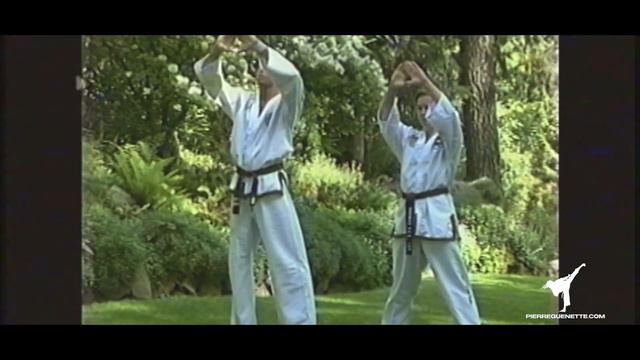 PIERRE GUENETTE-I AM BACK. L’histoire d’un champion du monde de Taekwon ...