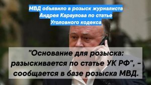 МВД объявило в розыск журналиста Андрея Караулова по статье Уголовного кодекса