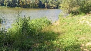 Здесь можно порыбачить.