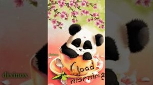 VID-20220706-WA0000.mp4