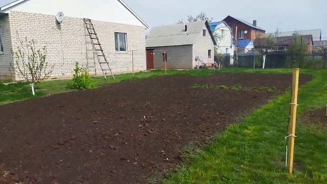 Сад в цвету.