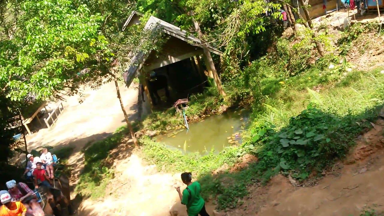 Тайланд, слоны