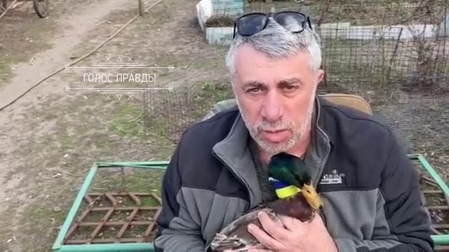 Боевая птица. У-2.  "Доктор" Комаровский. Пу-лихорадка. До конца! Видео огонь!