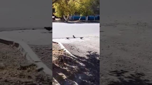 Закупаем проводку и ещё интересное в видео???