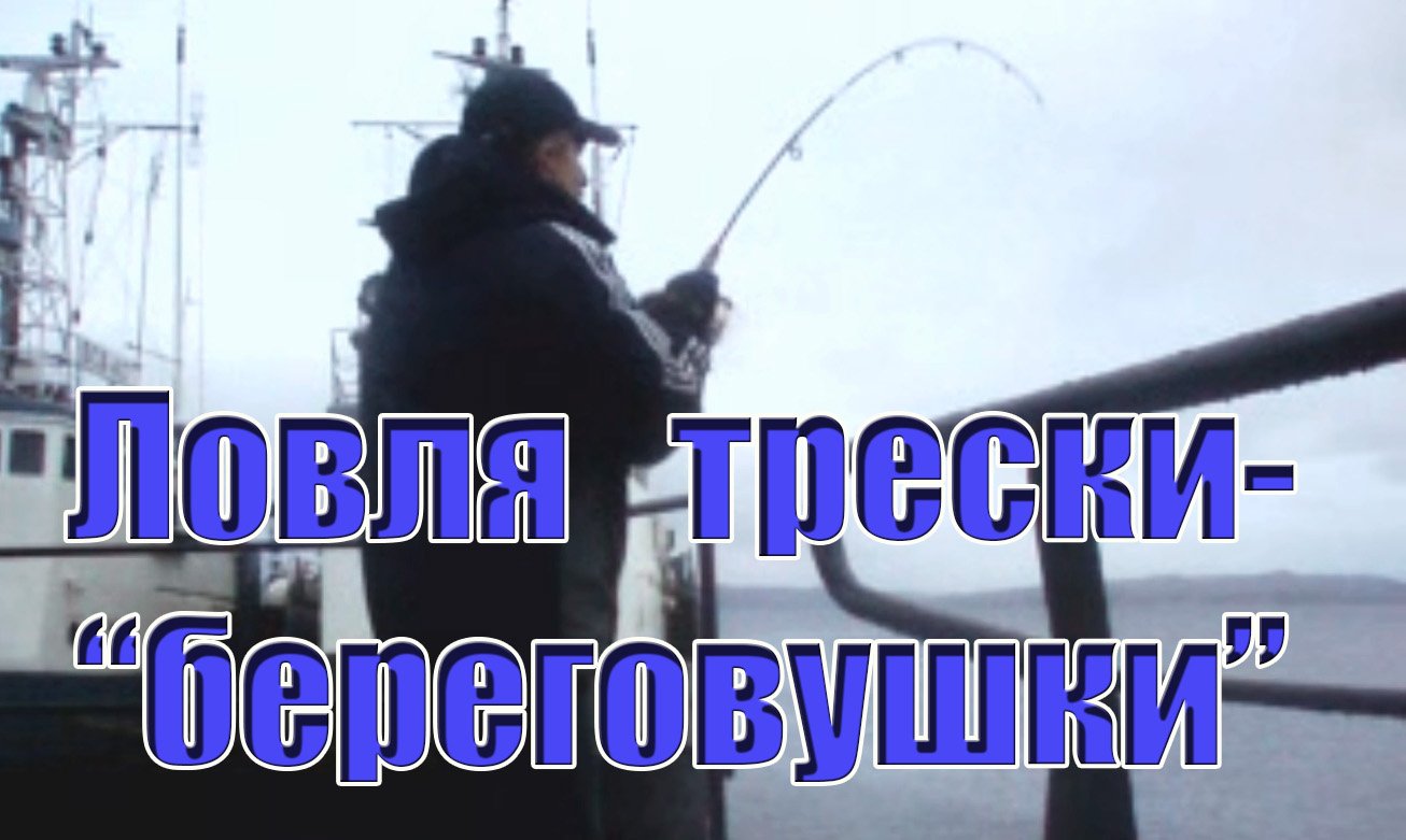 Ловпя береговой тресочки в губе Кислой с борта плавсредства