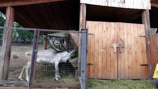 Роев ручей. Красноярск