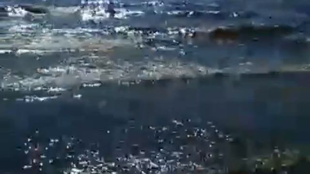 Питерское море (Финский залив, парк 300-летия Петербурга). 09.05.2021, 14:56