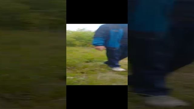 video-c2d07779f189080a9bbb821a377f884b-V.mp4