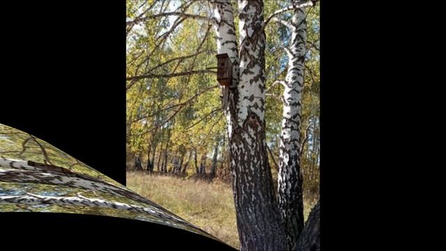 Стихи о жизни. В природе есть многообразие.