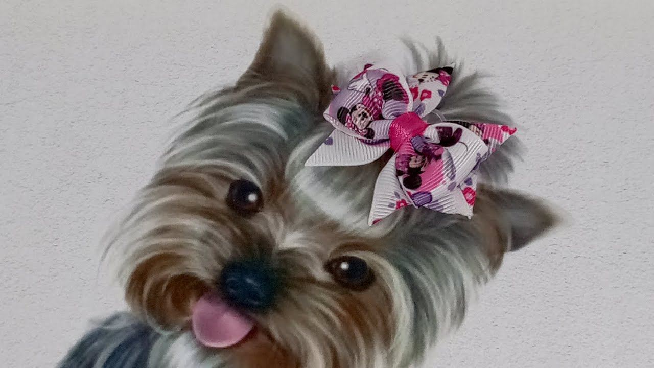 МК. Бантики для кошечки и собачки из репсовой ленты шириной 2,5. см.