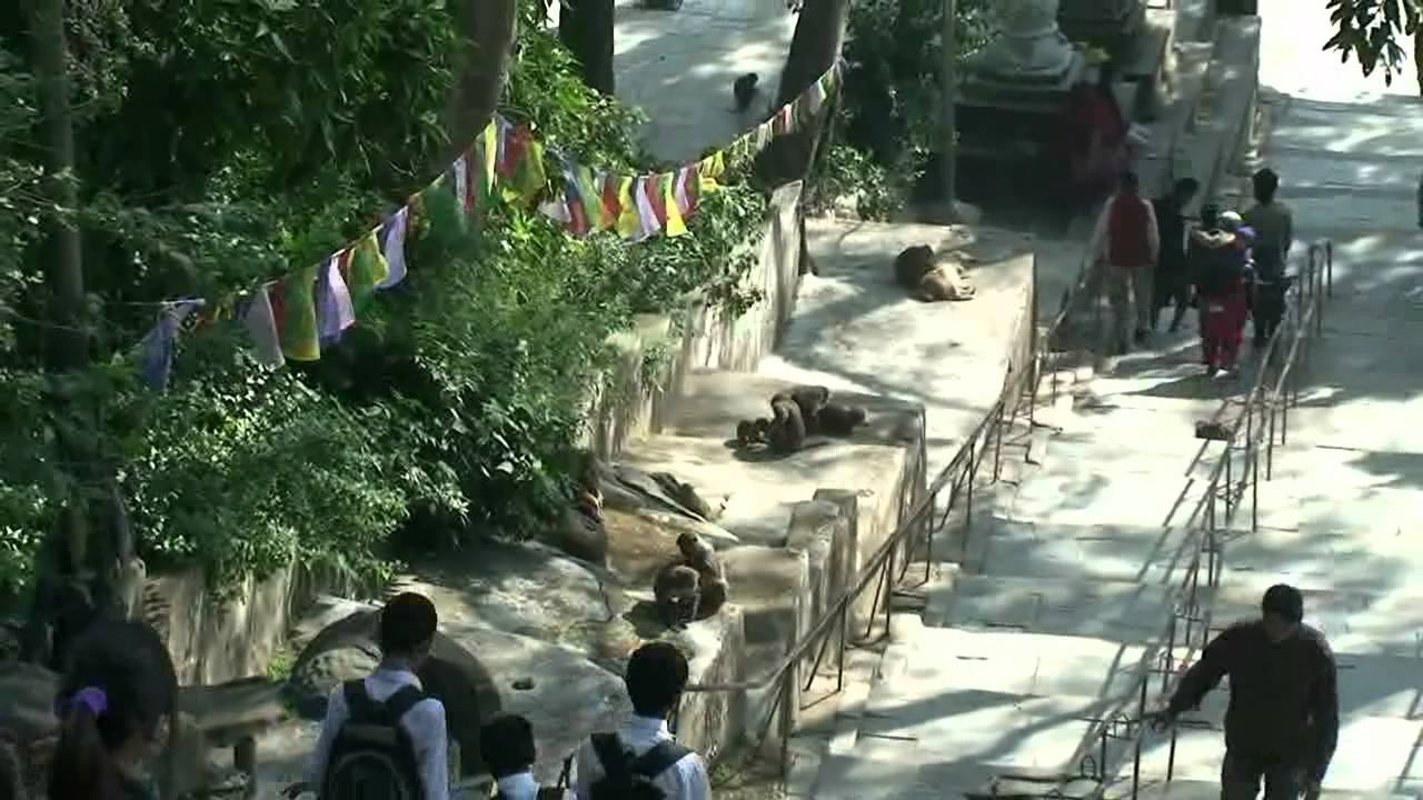 Катманду. Ступа Сваямбхунат (Swayambhunat).