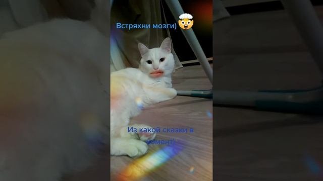 #смешной#юмор#смех#рекомендация